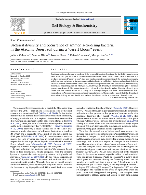(PDF) Bacterial diversity and occurrence of ammonia-oxidizing bacteria ...