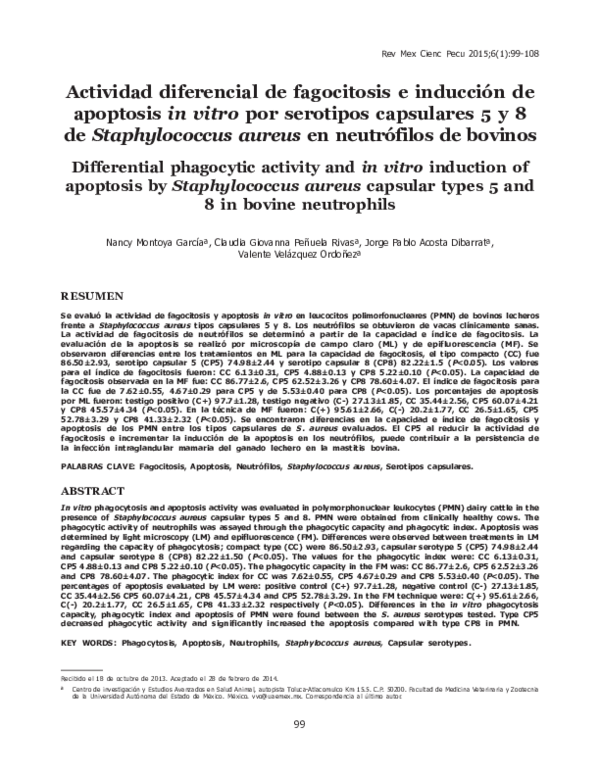 (PDF) Actividad diferencial de fagocitosis e inducción de apoptosis in ...