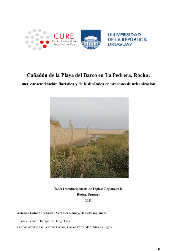 (PDF) Cañadón de la Playa del Barco, La Pedrera, Rocha : Caracterización florística y de la ...