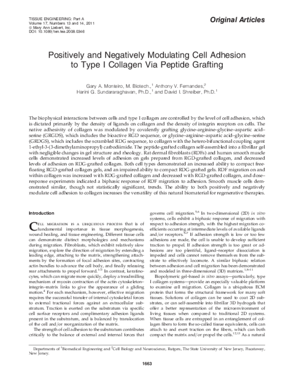 (PDF) Positively and Negatively Modulating Cell Adhesion to Type I ...