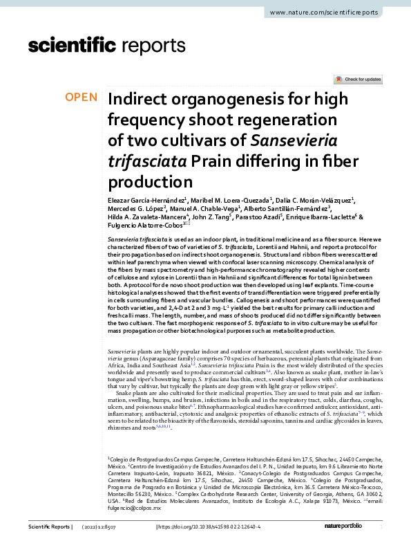 (PDF) Indirect organogenesis for high frequency shoot regeneration of ...