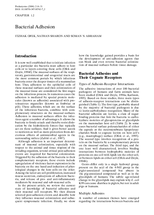 (PDF) Bacterial Adhesion