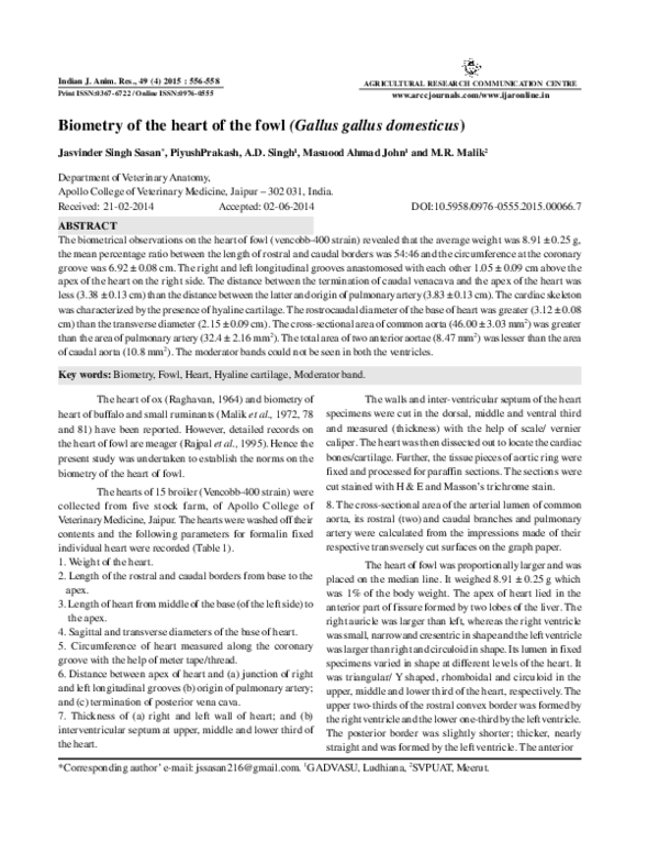 (PDF) Biometry of the heart of the fowl (Gallus gallus domesticus