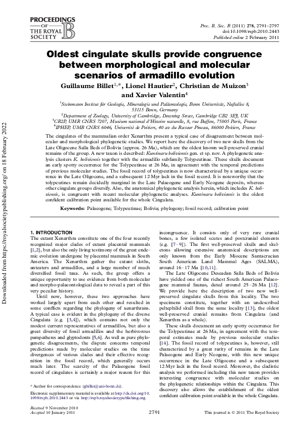 (PDF) Oldest cingulate skulls provide congruence between morphological ...
