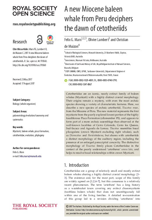 (PDF) A new Miocene baleen whale from Peru deciphers the dawn of ...