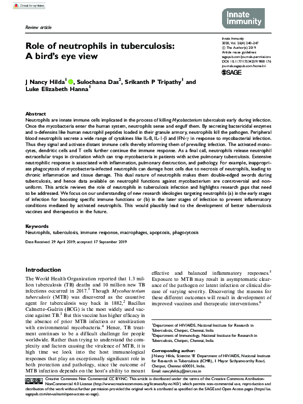 (PDF) Role of neutrophils in tuberculosis: A bird's eye view