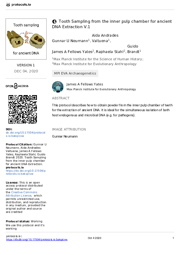 (PDF) Tooth Sampling from the inner pulp chamber for ancient DNA ...
