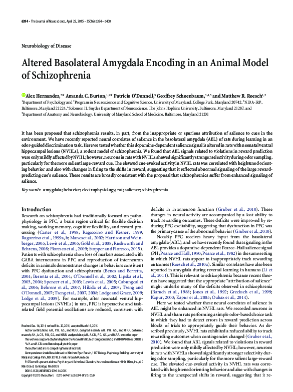 (PDF) Altered basolateral amygdala encoding in an animal model of ...