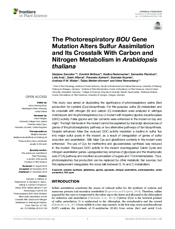 (PDF) The Photorespiratory BOU Gene Mutation Alters Sulfur Assimilation ...
