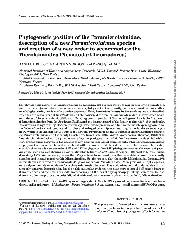 (PDF) Phylogenetic position of the Paramicrolaimidae, description of a ...