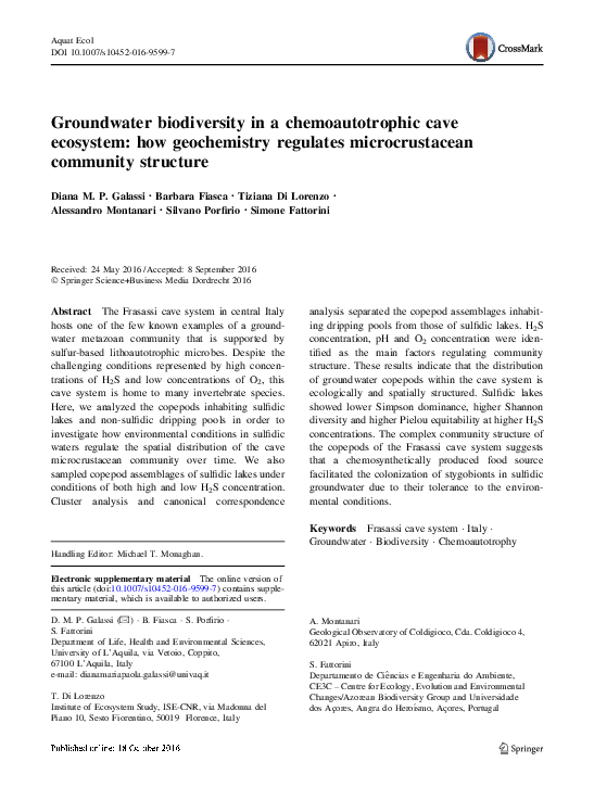 (PDF) Groundwater biodiversity in a chemoautotrophic cave ecosystem ...