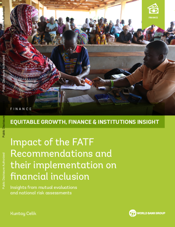 (PDF) Impact of the FATF recommendations and their implementation on ...