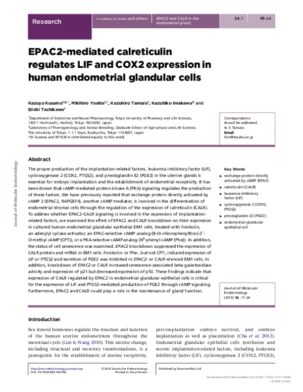 (PDF) EPAC2-mediated calreticulin regulates LIF and COX2 expression in ...