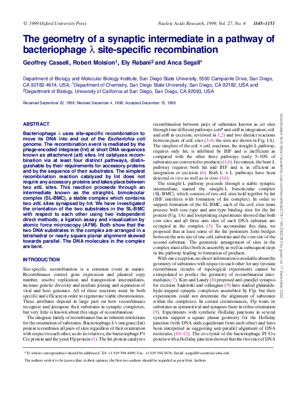 (PDF) The geometry of a synaptic intermediate in a pathway of ...