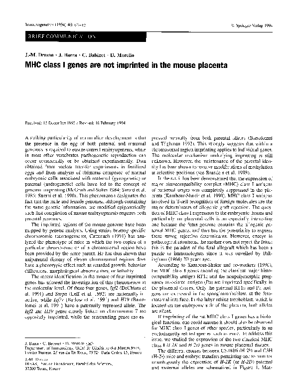 (PDF) MHC class I genes are not imprinted in the mouse placenta