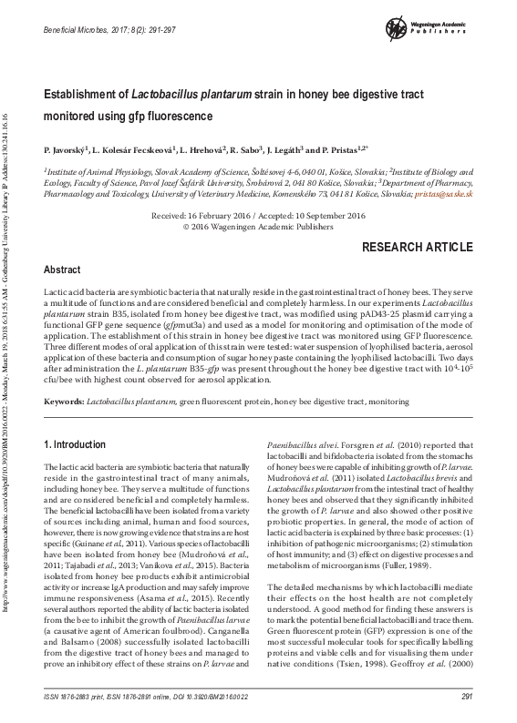(PDF) Establishment of Lactobacillus plantarum strain in honey bee ...