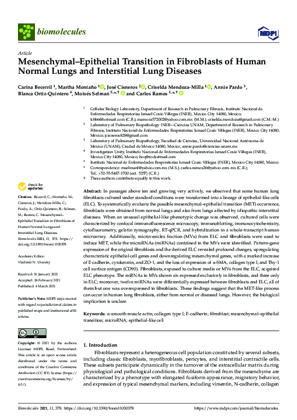 (PDF) Mesenchymal–Epithelial Transition in Fibroblasts of Human Normal ...