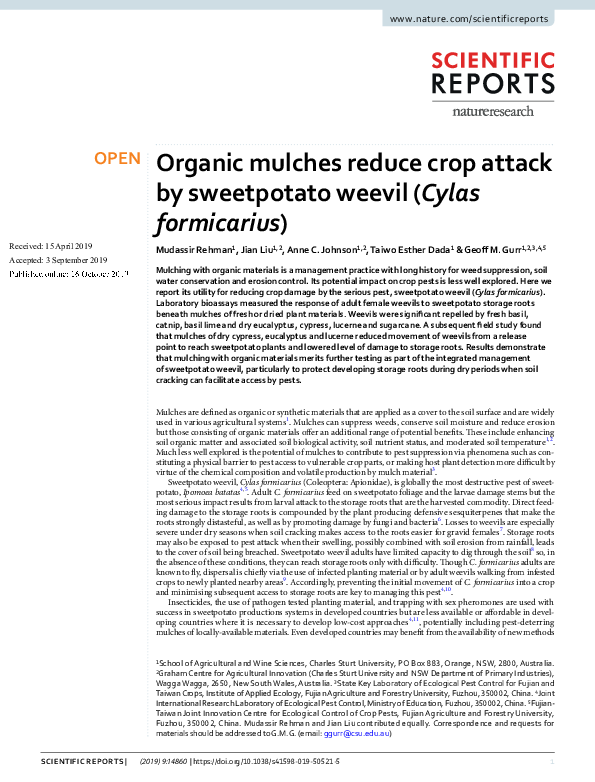 (PDF) Organic mulches reduce crop attack by sweetpotato weevil (Cylas formicarius)