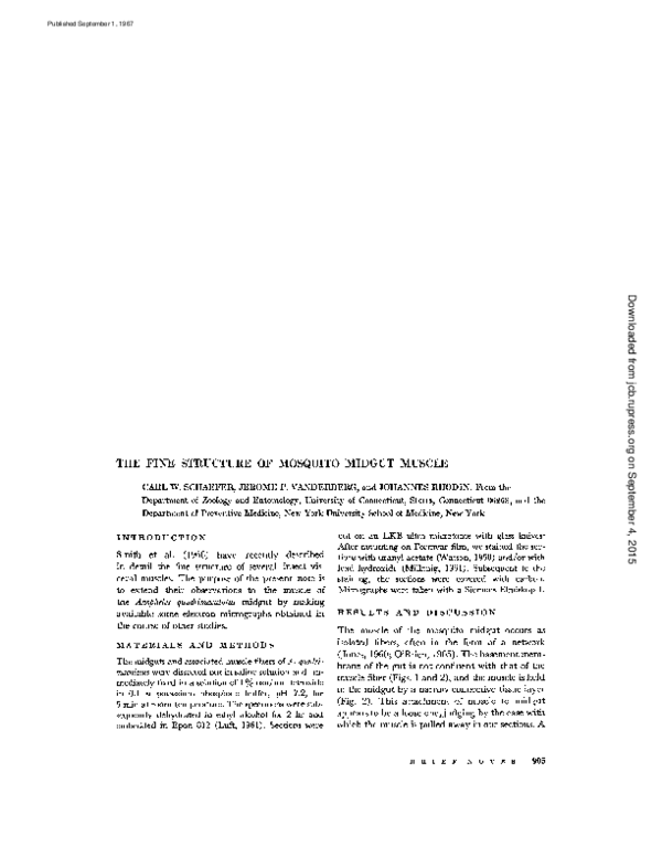 (PDF) The Fine Structure of Mosquito Midgut Muscle