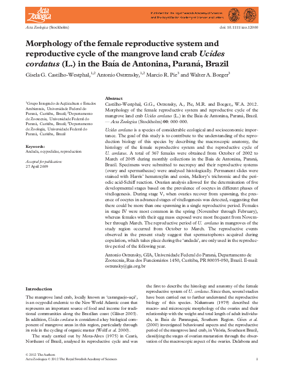 (PDF) Morphology of the female reproductive system and reproductive ...