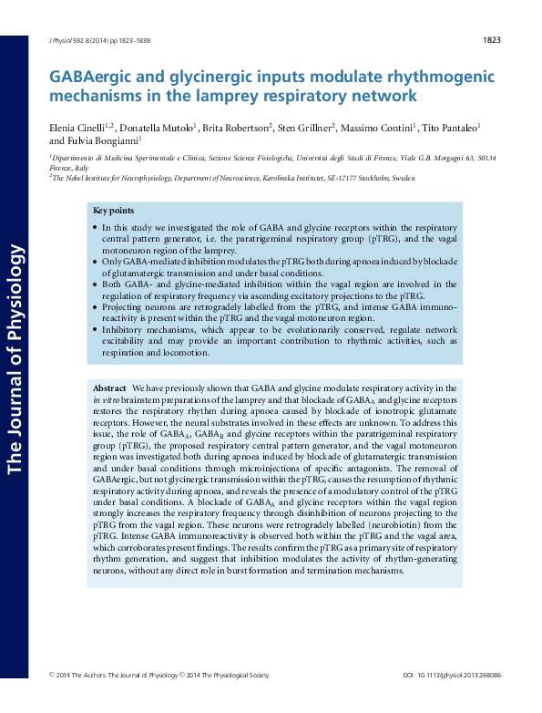 (PDF) GABAergic and glycinergic inputs modulate rhythmogenic mechanisms ...