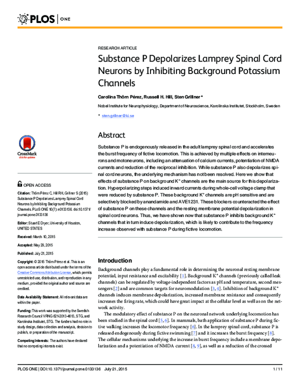 (PDF) Substance P Depolarizes Lamprey Spinal Cord Neurons by Inhibiting ...