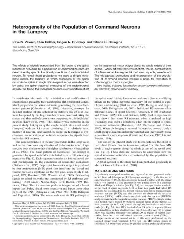 (PDF) Heterogeneity of the Population of Command Neurons in the Lamprey