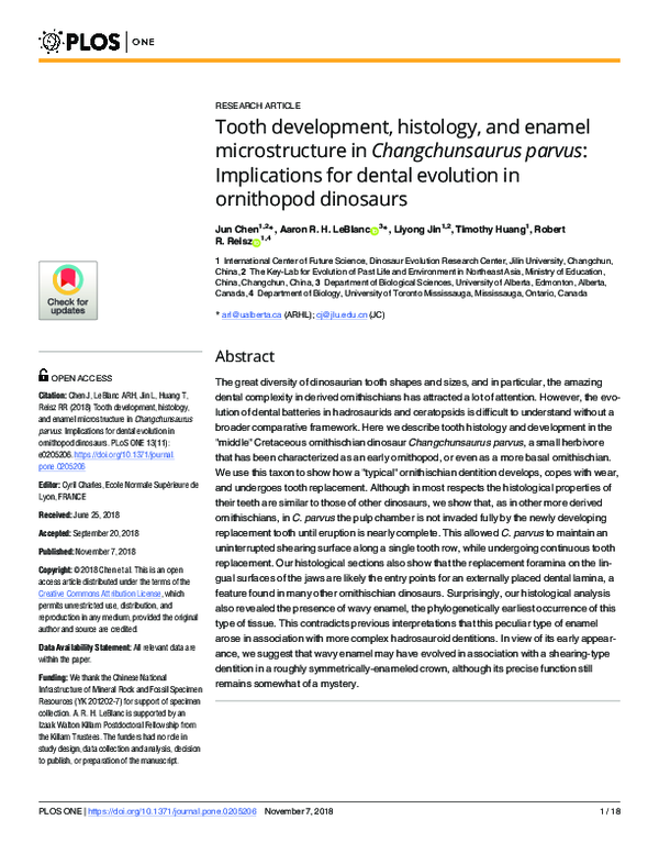 (PDF) Tooth development, histology, and enamel microstructure in ...