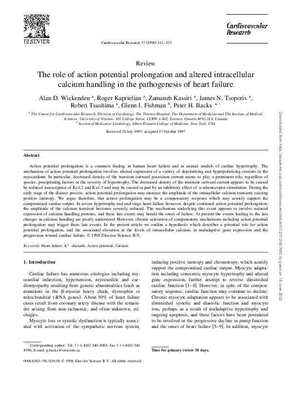 (PDF) The role of action potential prolongation and altered ...