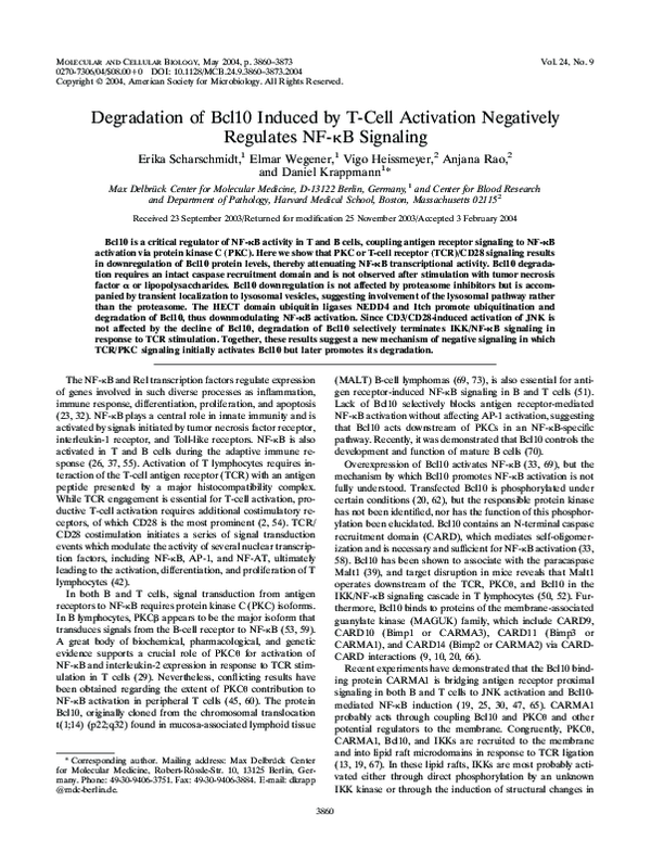 (PDF) Degradation of Bcl10 Induced by T-Cell Activation Negatively ...