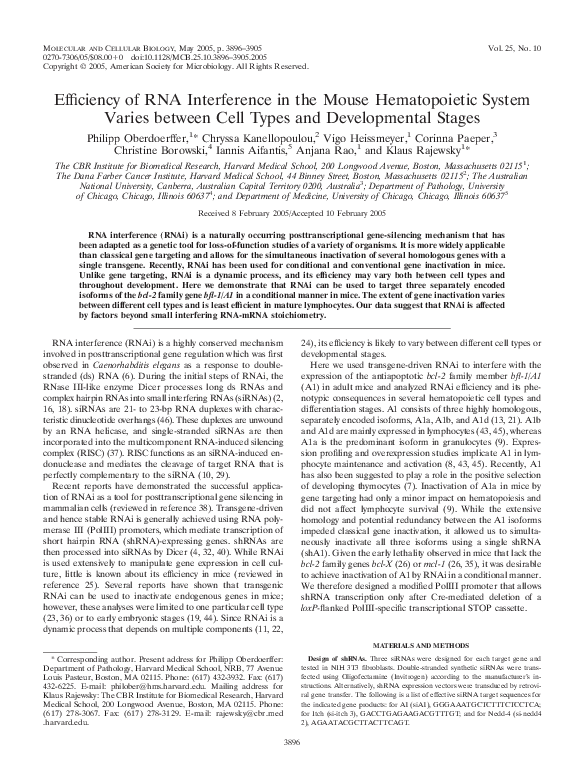 (PDF) Efficiency of RNA Interference in the Mouse Hematopoietic System ...