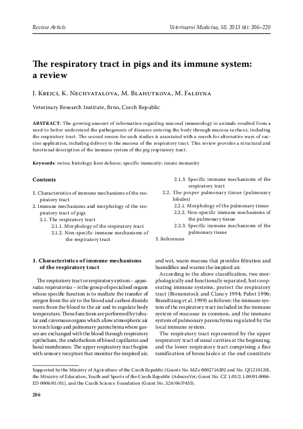(PDF) The respiratory tract in pigs and its immune system: a review