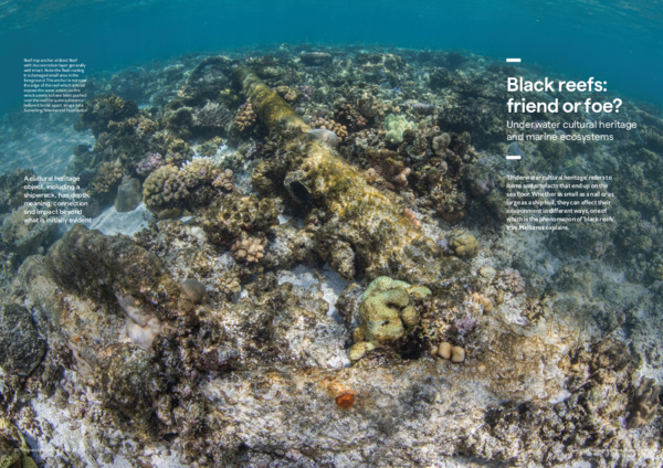 (PDF) Black reefs: friend or foe - Underwater cultural heritage and ...