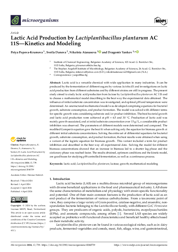(PDF) Lactic Acid Production by Lactiplantibacillus plantarum AC 11S ...