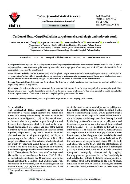 (PDF) Tendon of Flexor Carpi Radialis in carpal tunnel: a radiologic ...