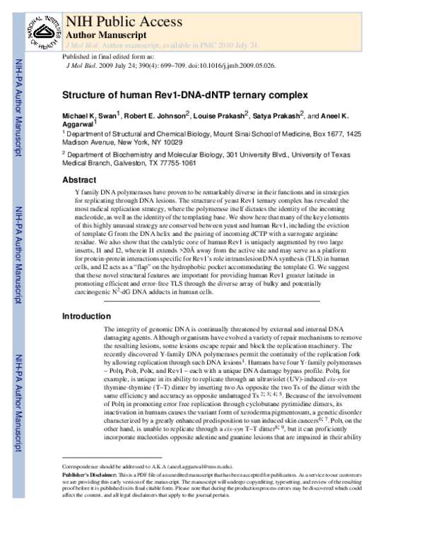 (PDF) Structure of the Human Rev1–DNA–dNTP Ternary Complex