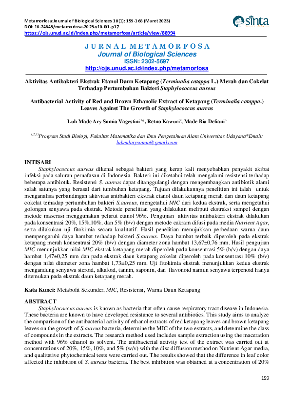(PDF) Aktivitas Antibakteri Ekstrak Etanol Daun Ketapang (Terminalia catappa L.) Merah dan ...