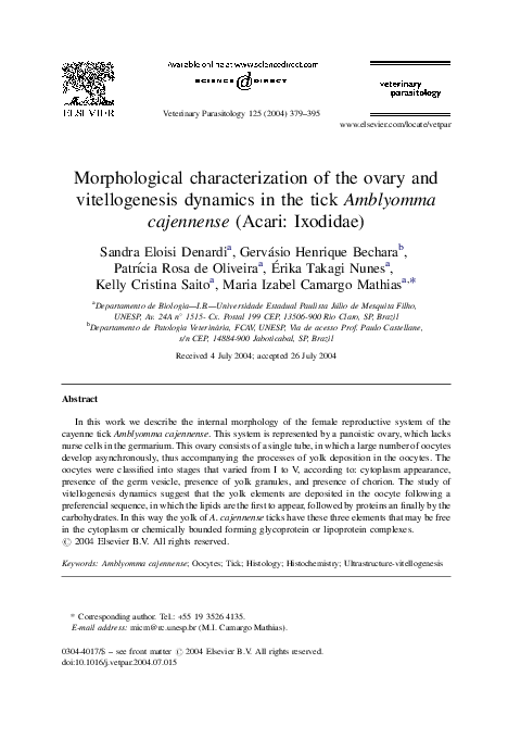 (PDF) Morphological characterization of the ovary and vitellogenesis ...
