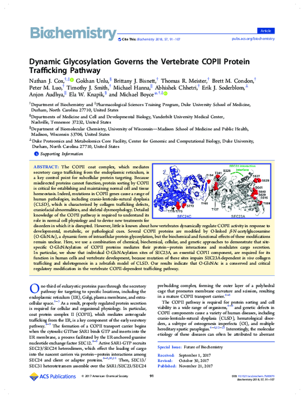 (PDF) Dynamic glycosylation governs the vertebrate COPII protein ...