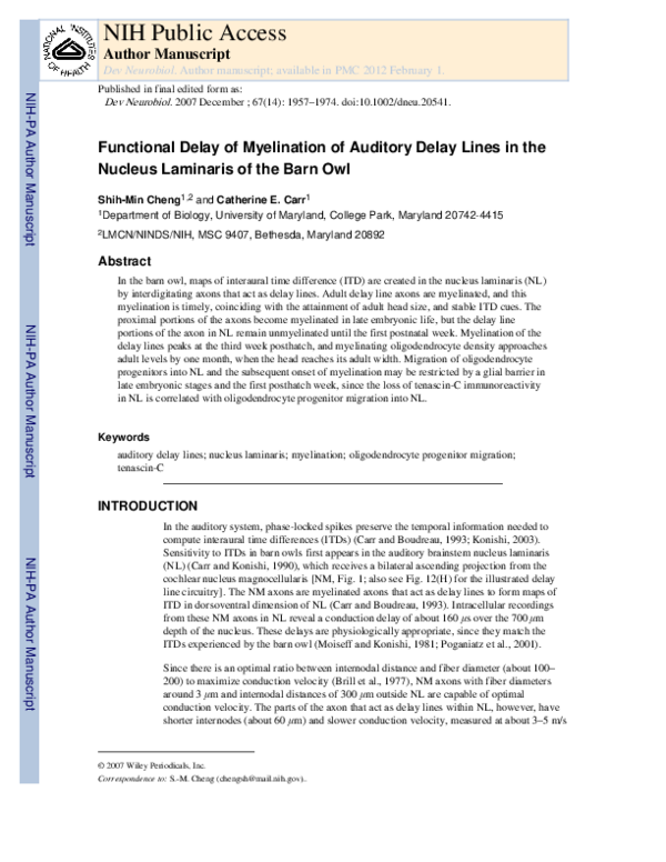 (PDF) Functional delay of myelination of auditory delay lines in the nucleus laminaris of the ...
