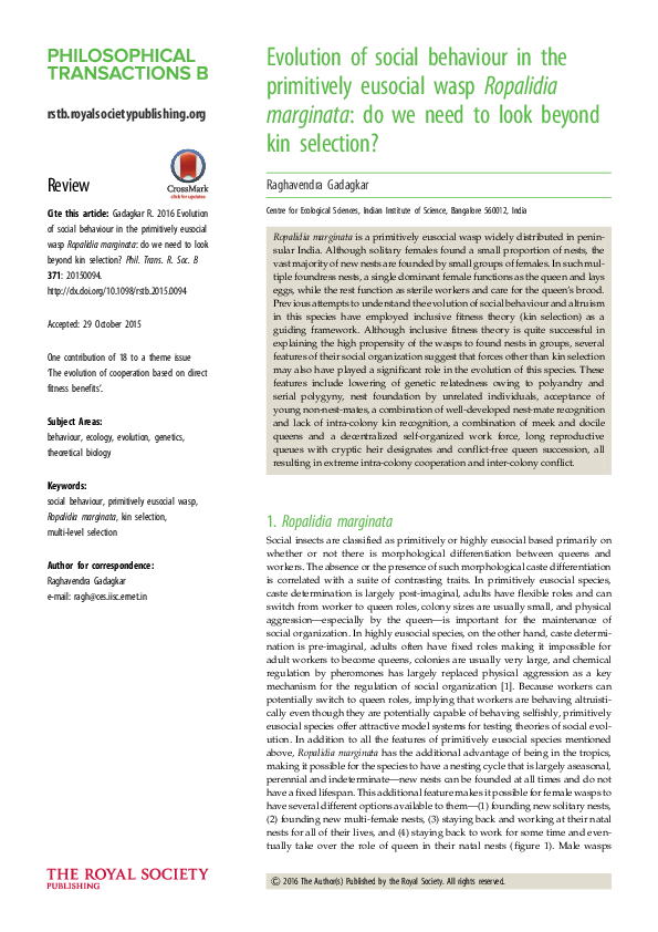 (PDF) Evolution of social behaviour in the primitively eusocial wasp ...