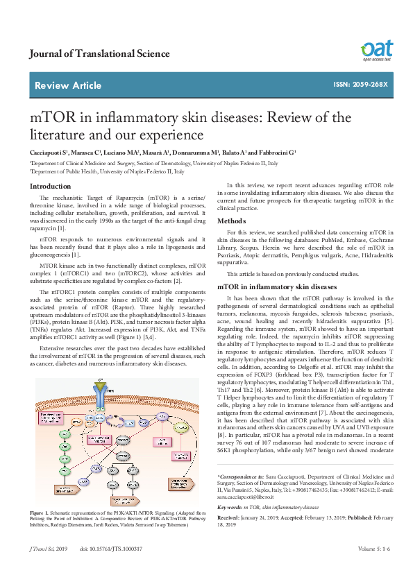 (PDF) mTOR in inflammatory skin diseases: Review of the literature and ...