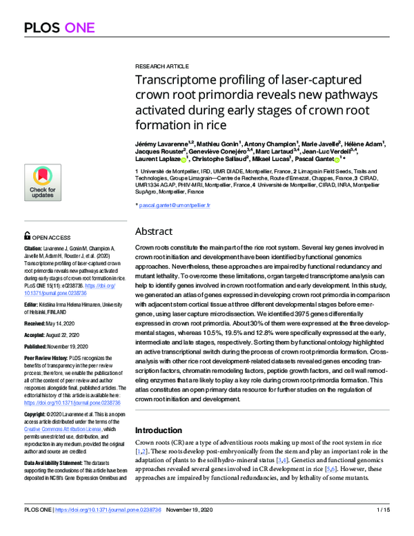 (PDF) Transcriptome profiling of laser-captured crown root primordia ...