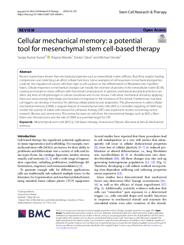 (PDF) Cellular mechanical memory: a potential tool for mesenchymal stem ...