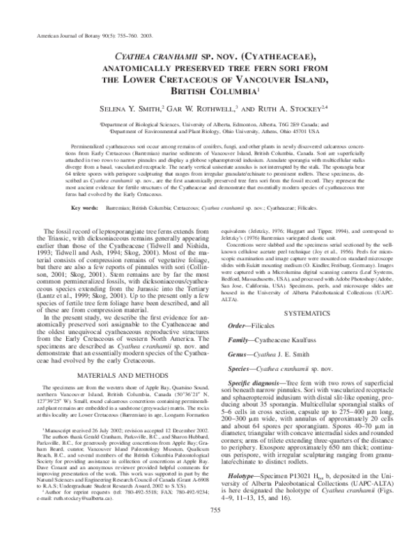 (PDF) Cyathea cranhamii sp. nov. (Cyatheaceae), anatomically preserved ...
