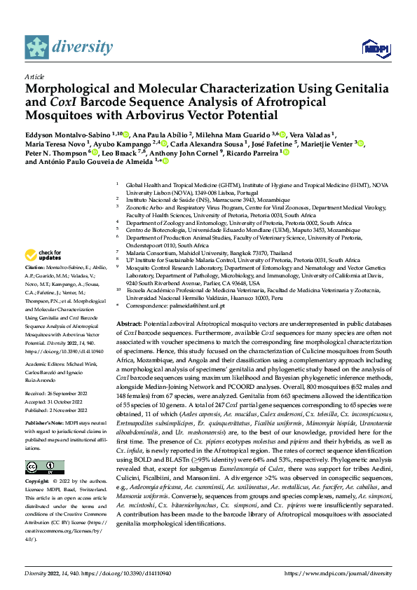 (PDF) Morphological and Molecular Characterization Using Genitalia and CoxI Barcode Sequence ...