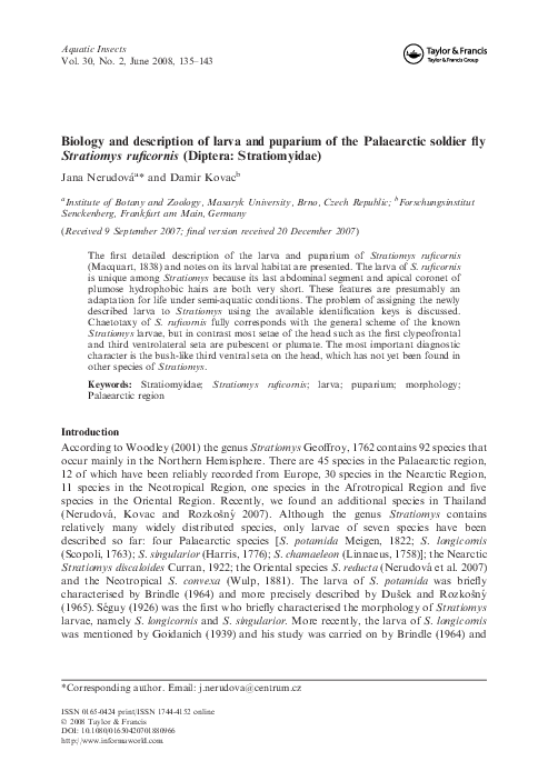 (PDF) Biology and description of larva and puparium of the Palaearctic ...