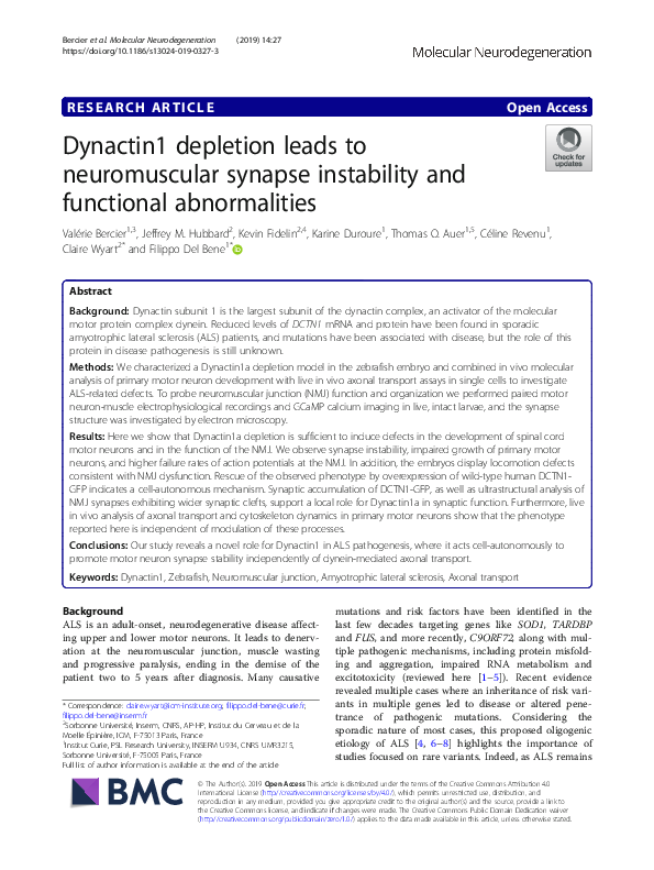(PDF) Dynactin1 depletion leads to neuromuscular synapse instability ...