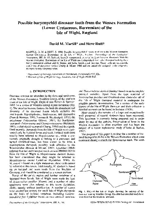 (PDF) Possible baryonychid dinosaur teeth from the Wessex Formation ...