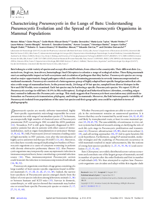(PDF) Characterizing Pneumocystis in the Lungs of Bats: Understanding ...